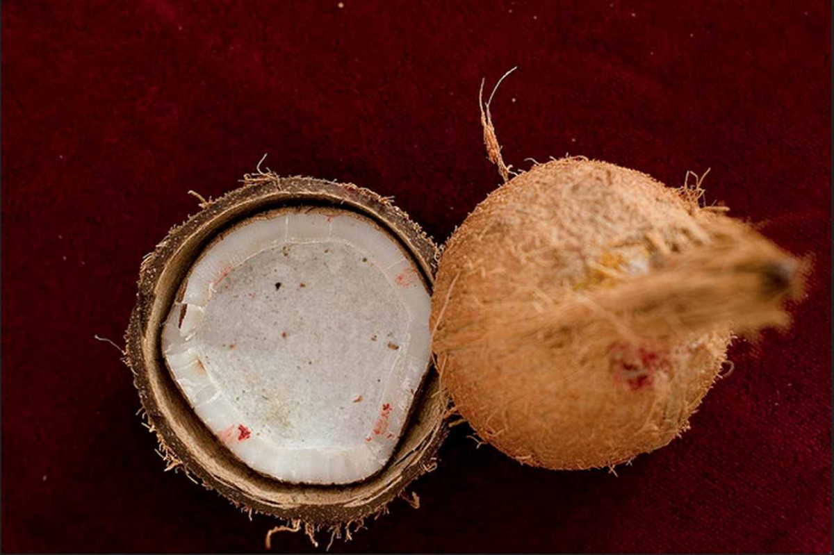 El Coco, una fruta con muchos beneficios