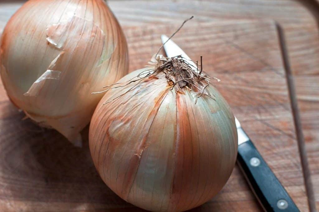 Tipos de cebollas y usos en la cocina